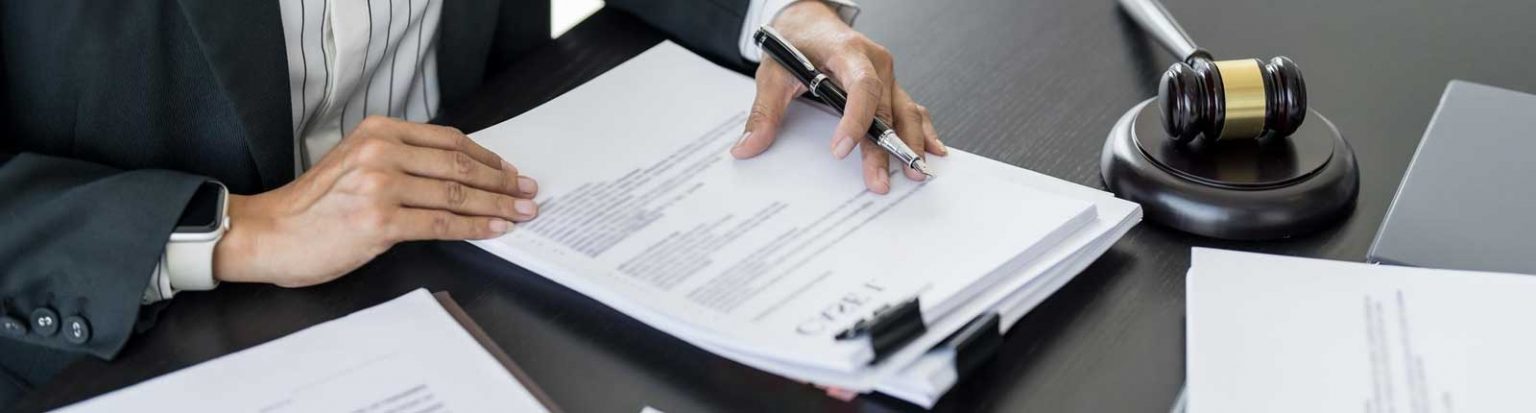 Expert Legal Motion Drafting Services